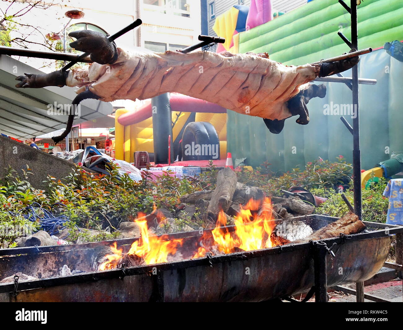 Traditional black haired pig barbecue in Taiwan Stock Photo - Alamy