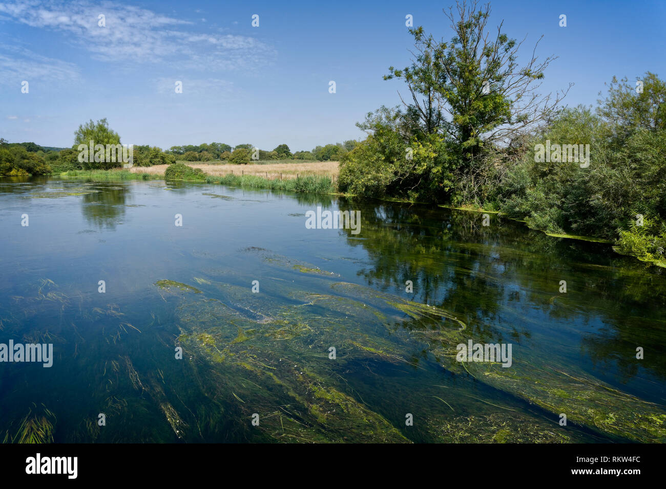 The old water mill and River Avon at Breamore on the Hampshire ...