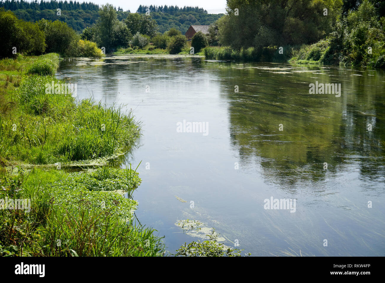 The old water mill and River Avon at Breamore on the Hampshire ...