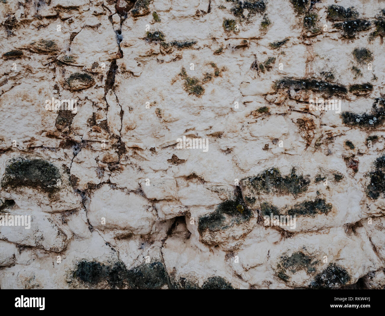 white and brown rock with moss and lichen texture background Stock ...