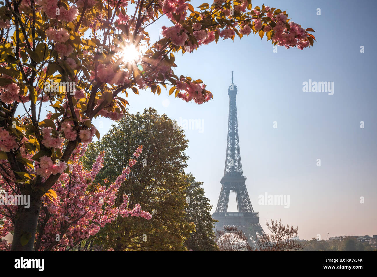 Eiffel Tower with spring trees in Paris, France Stock Photo - Alamy
