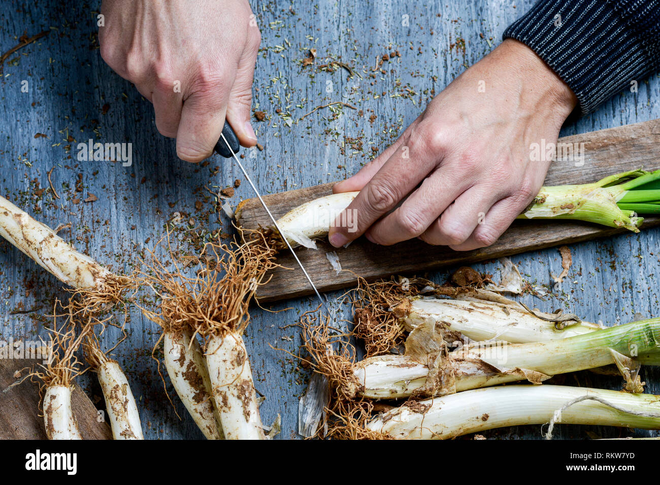 Roots grill hi-res stock photography and images - Alamy