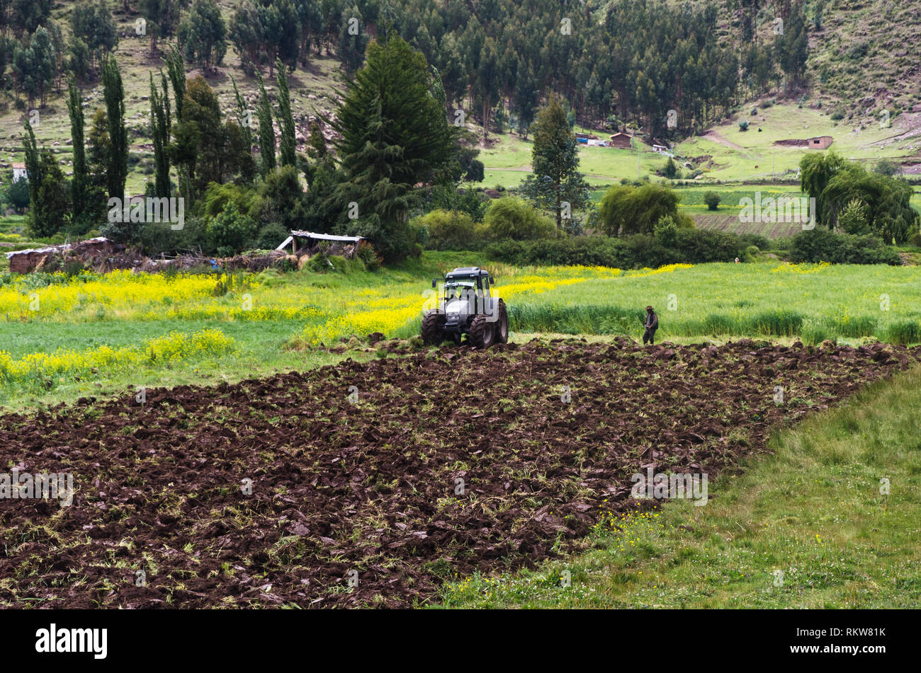 Farmer working in the tractor plow fields, preparing the land for ...