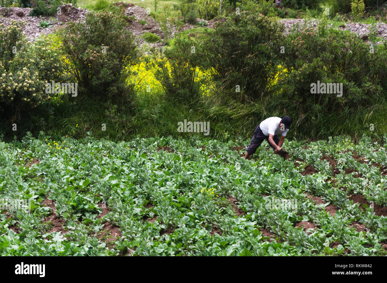Worker outdoors sun hi-res stock photography and images - Alamy