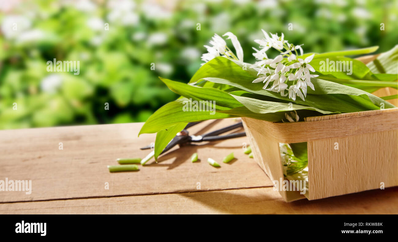 Wooden Punnet Stock Photos & Wooden Punnet Stock Images - Alamy