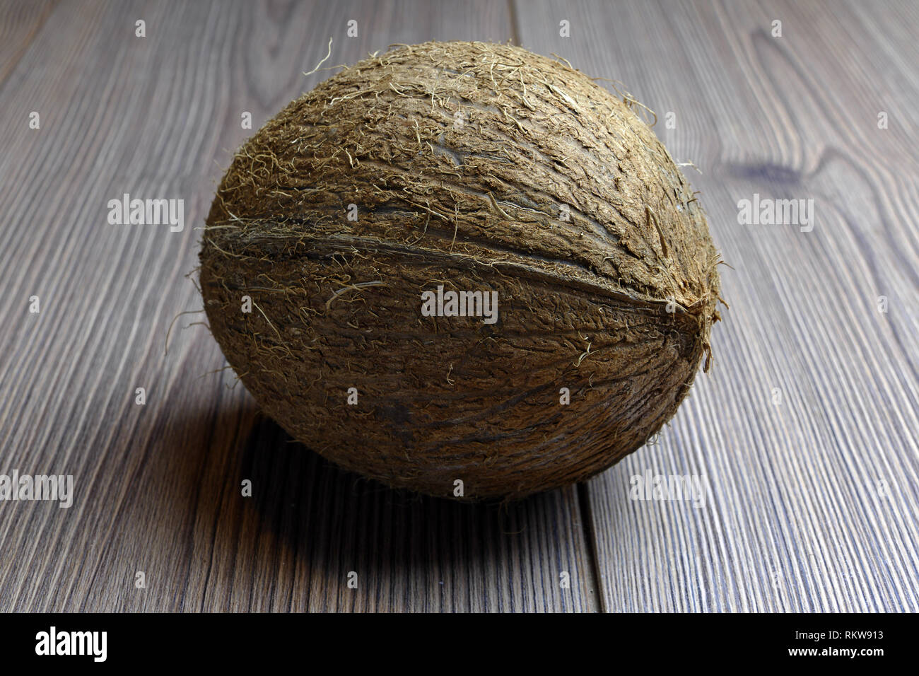 Single coconut tree hi-res stock photography and images - Alamy