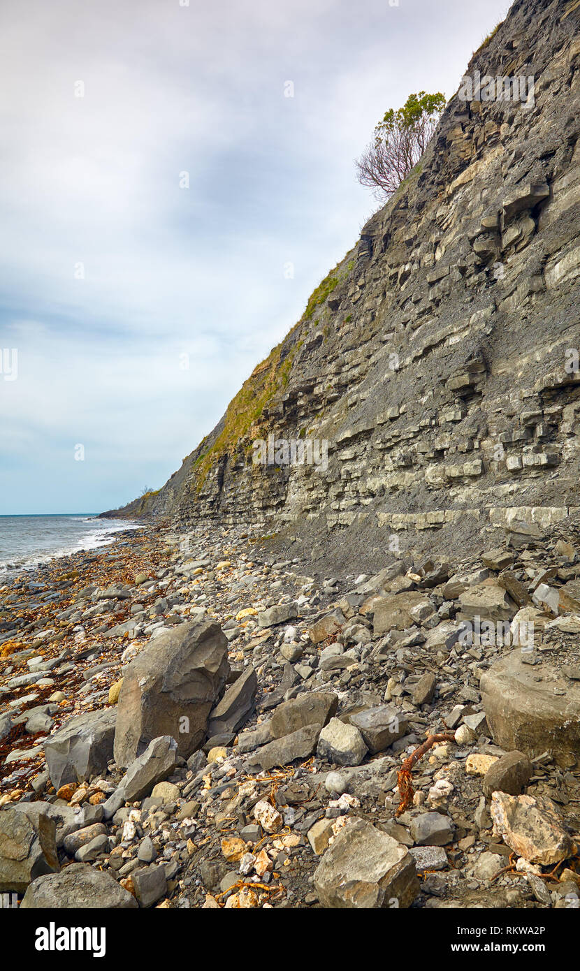 Jurassic age limestone hi-res stock photography and images - Alamy