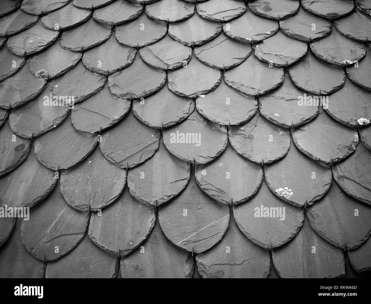 Texture of round slate tiles that look like scales Stock Photo - Alamy