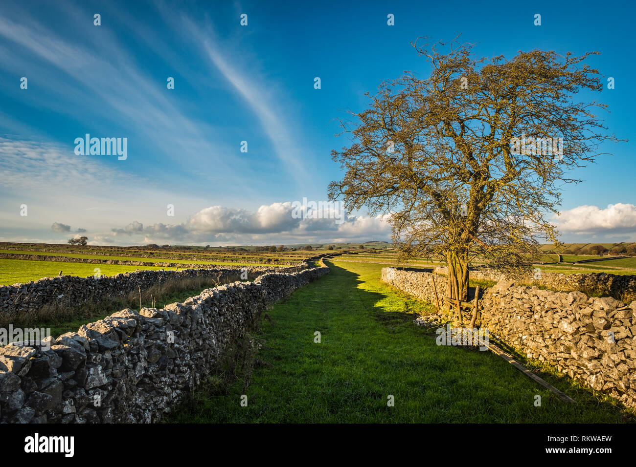 Dry stone walls are a feature of the landscape in the Peak District and ...