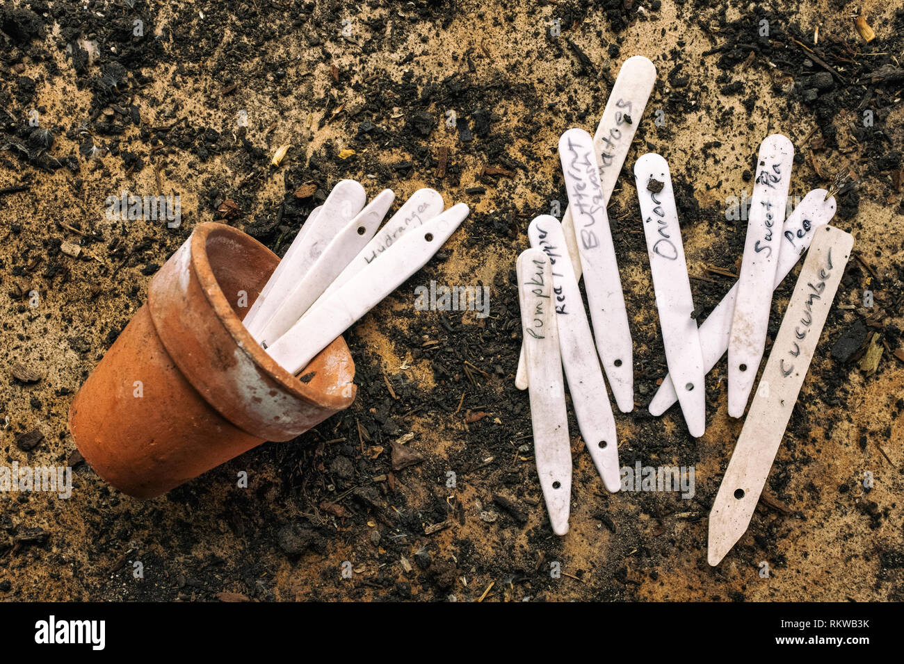 Plant labels plastic hi-res stock photography and images - Alamy