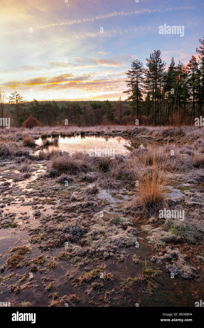Cleddon hi-res stock photography and images - Alamy
