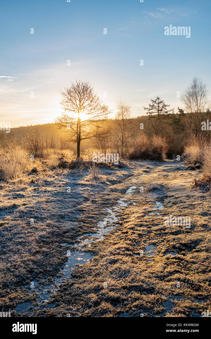 Cleddon hi-res stock photography and images - Alamy