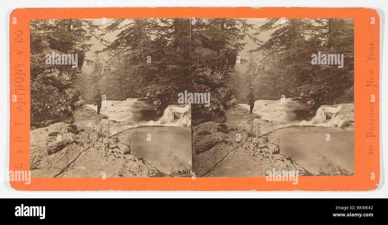 Original big tree hi-res stock photography and images - Alamy