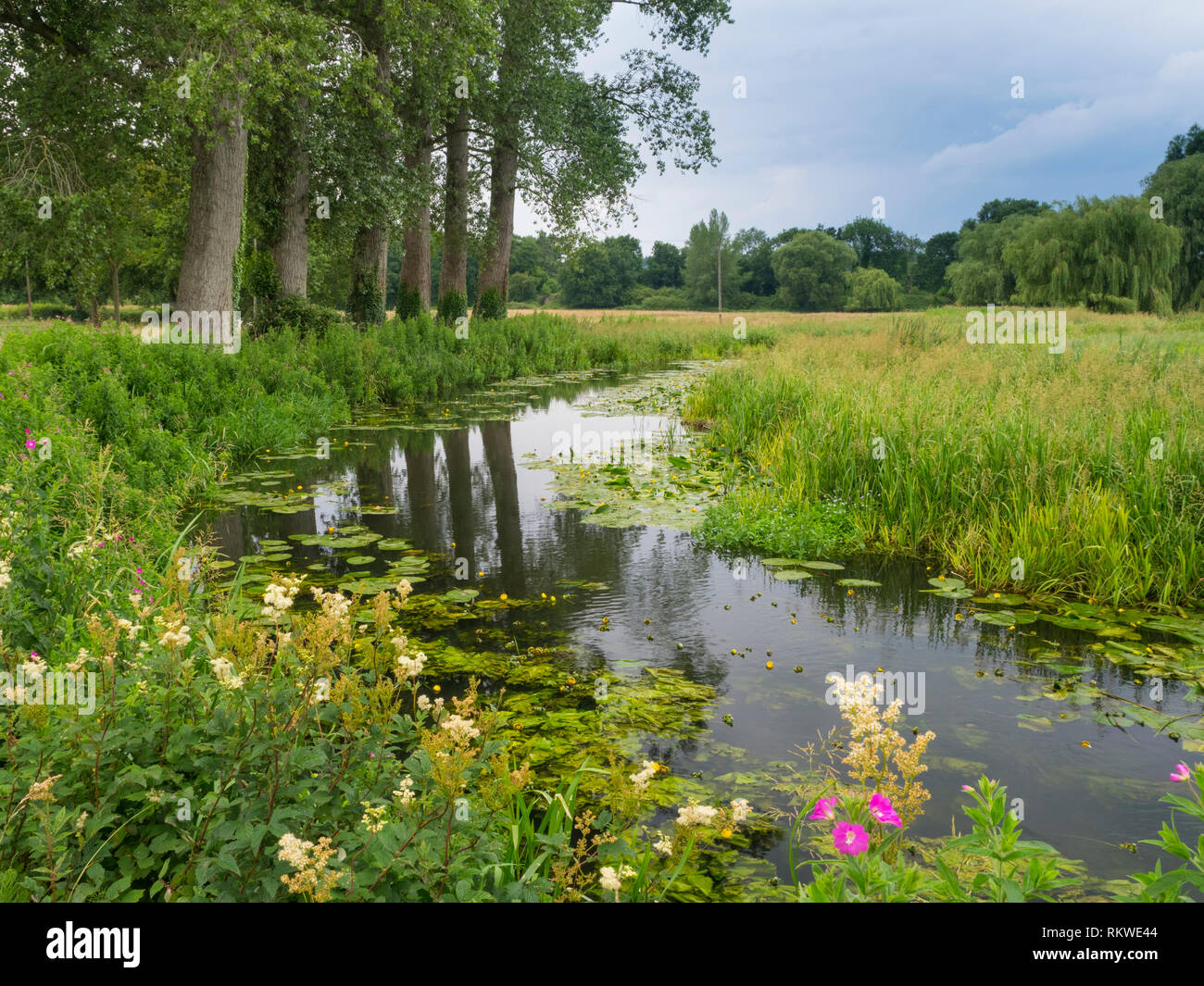 River wensum hi-res stock photography and images - Alamy