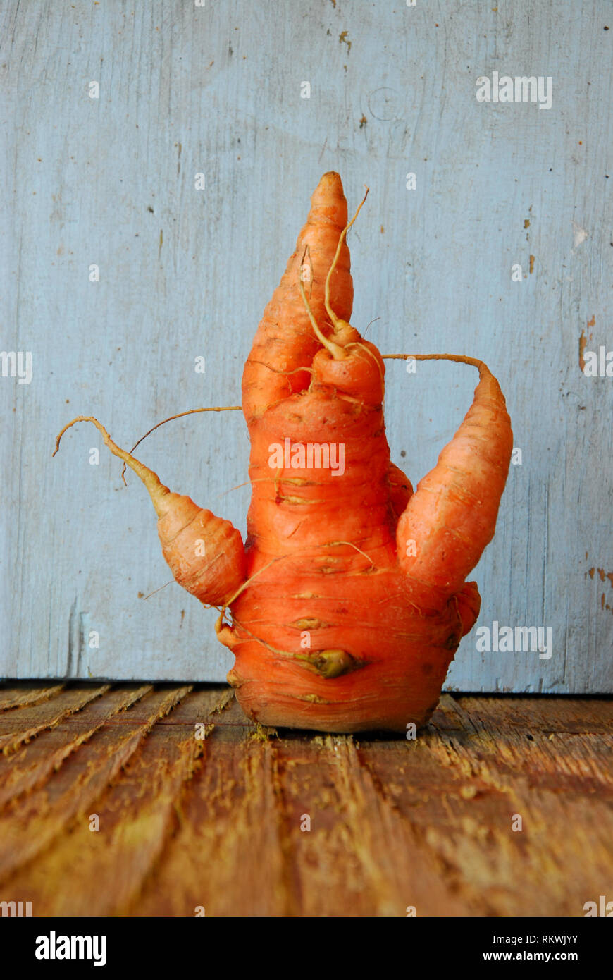 Unusual shaped carrots hi-res stock photography and images - Alamy