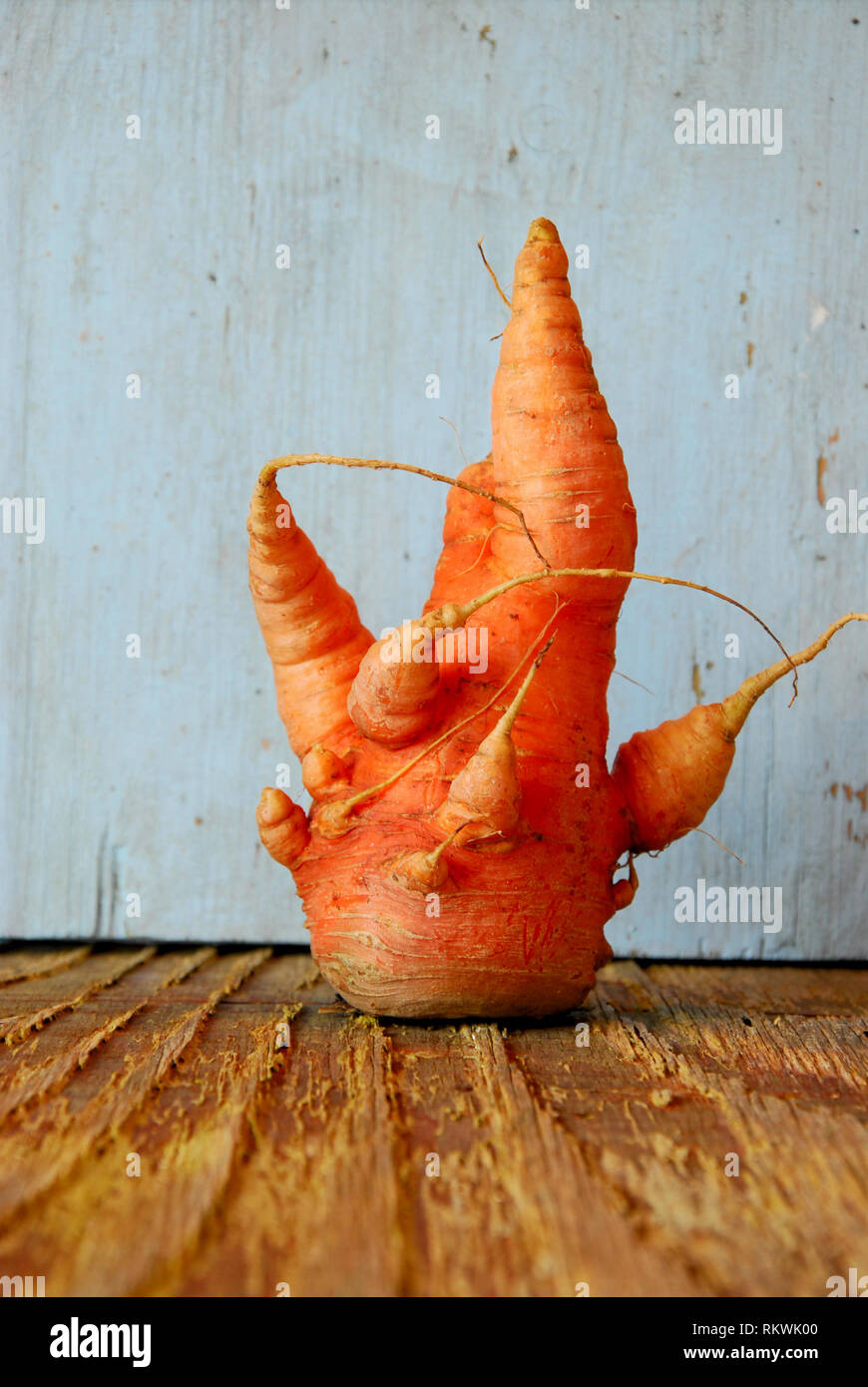 Fortuneswell. 12th February 2019. Portlander, Stuart (66), is 'digging ...