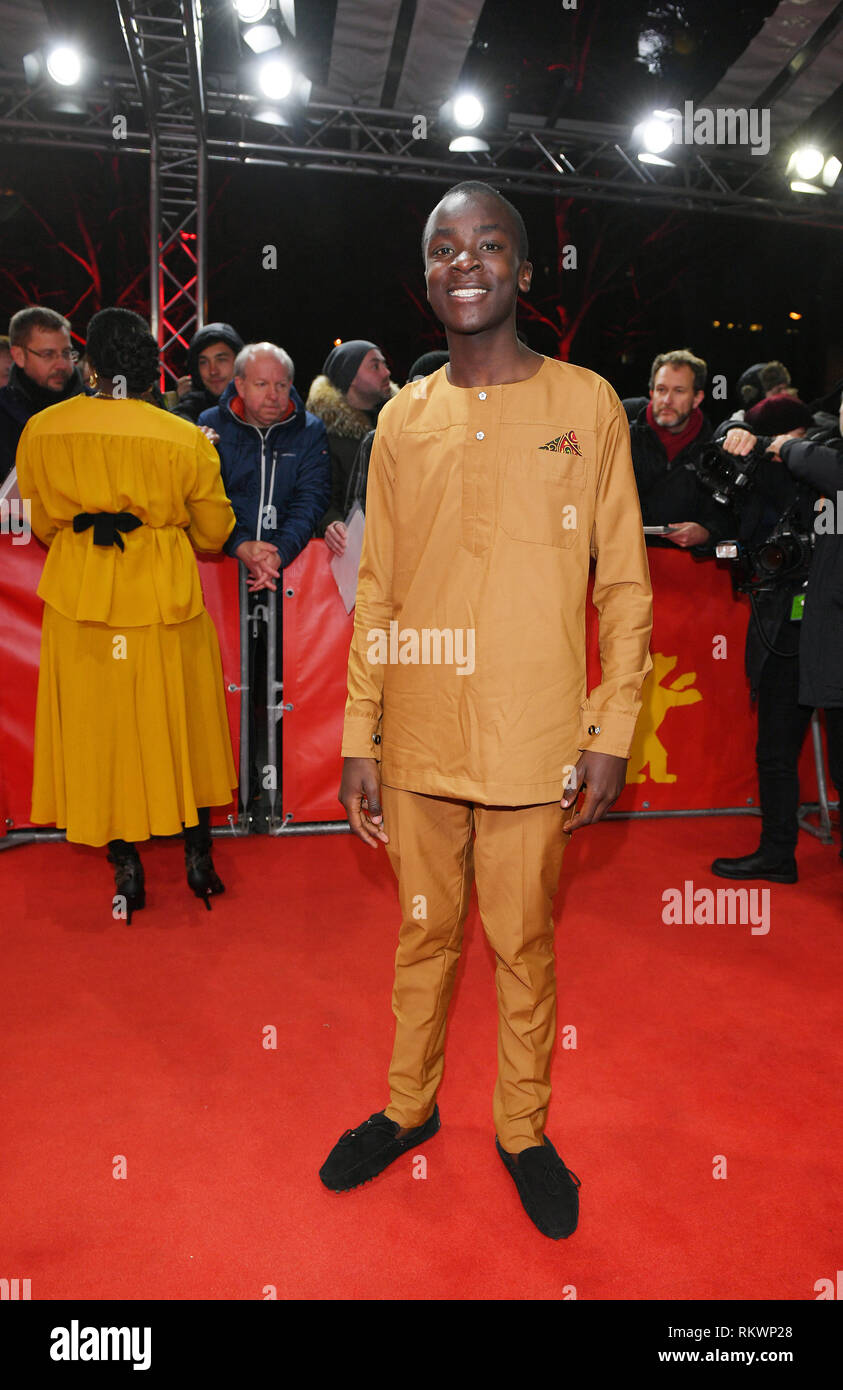 Maxwell simba hi-res stock photography and images - Alamy