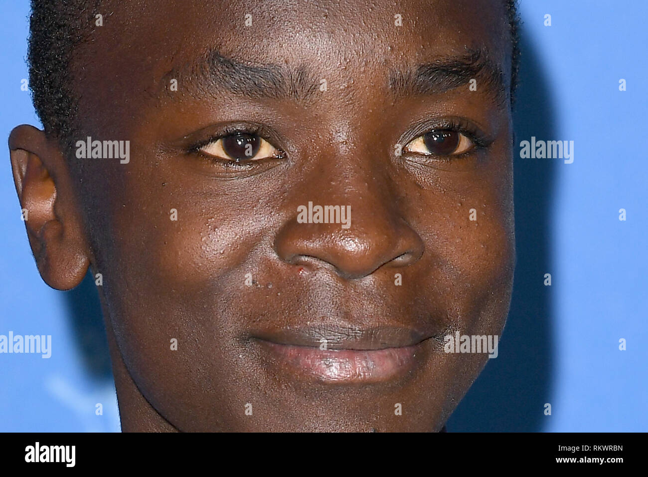 Maxwell simba hi-res stock photography and images - Alamy