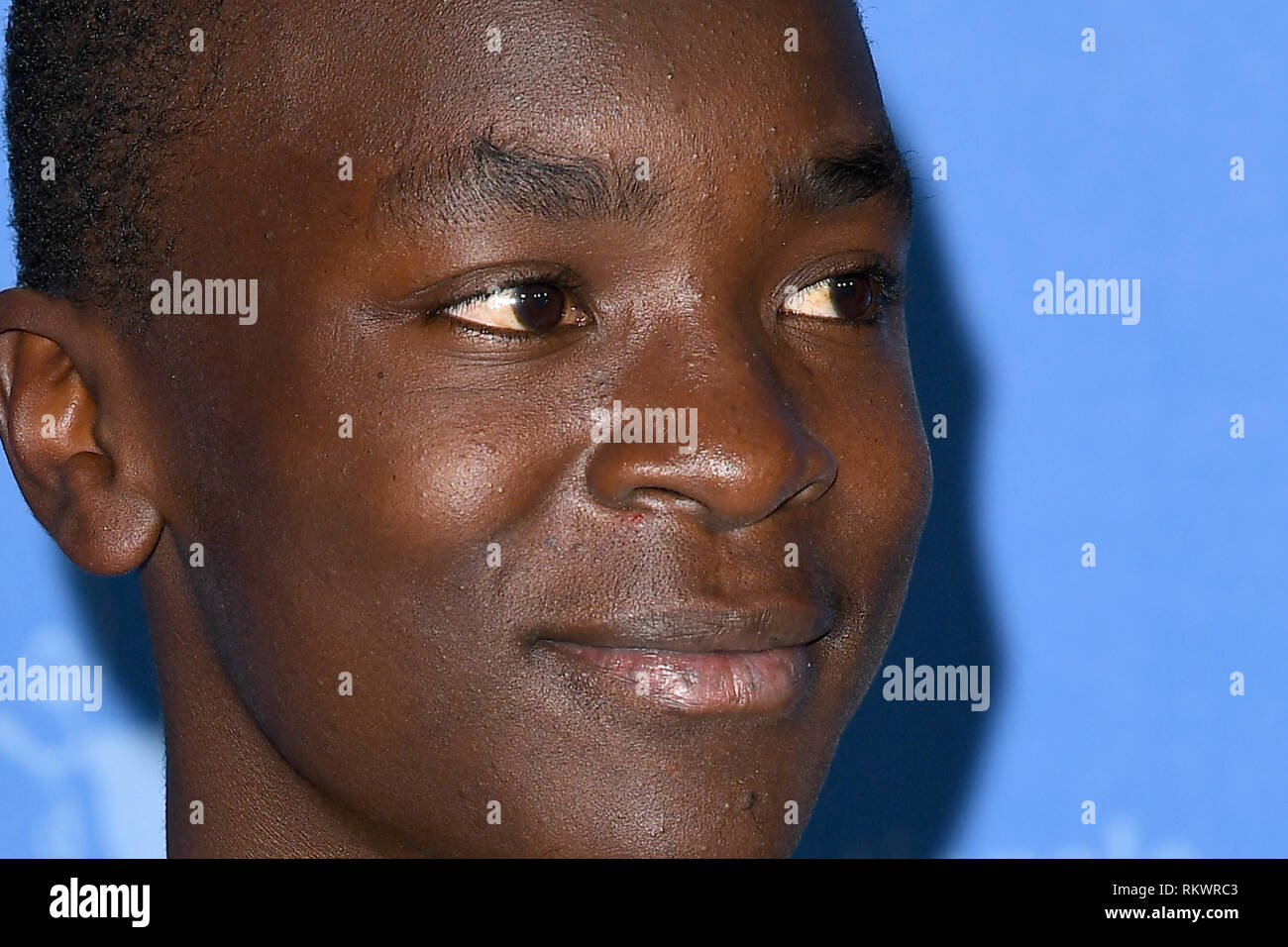 Maxwell simba hi-res stock photography and images - Alamy