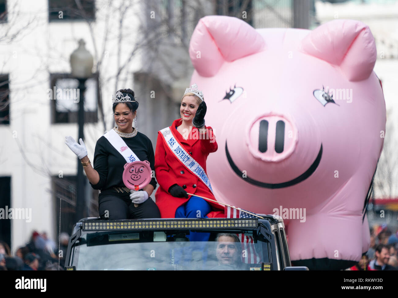 The "Big Pig" participated in the Chinese New Year Parade in Washington ...