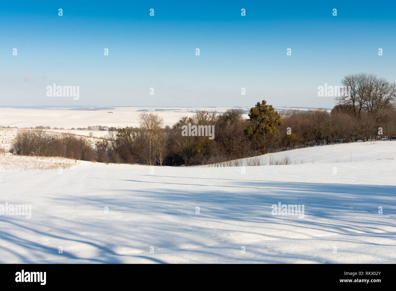Winter landscape , snow-covered field and trees without snow Stock ...