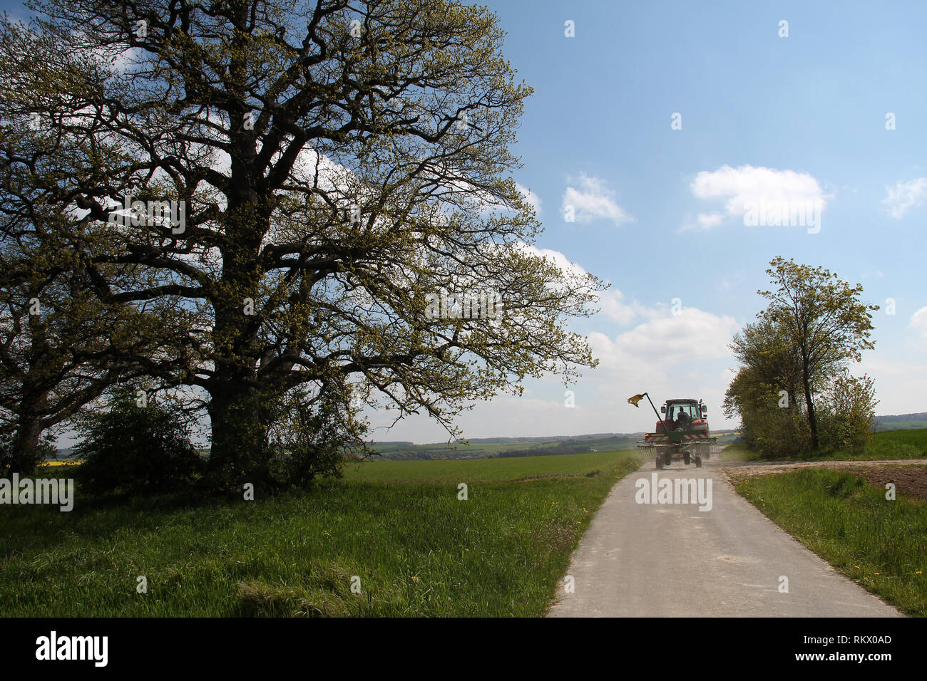 Spring Landscape with trees and road Stock Photo - Alamy
