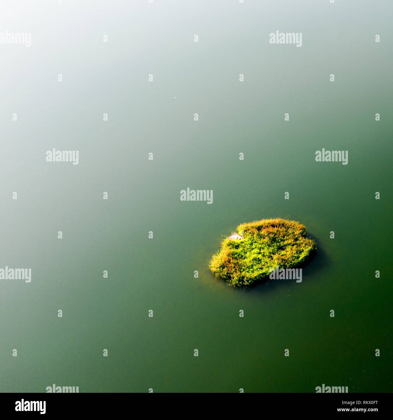 Minimal Small Green Island, Aerial View Stock Photo - Alamy