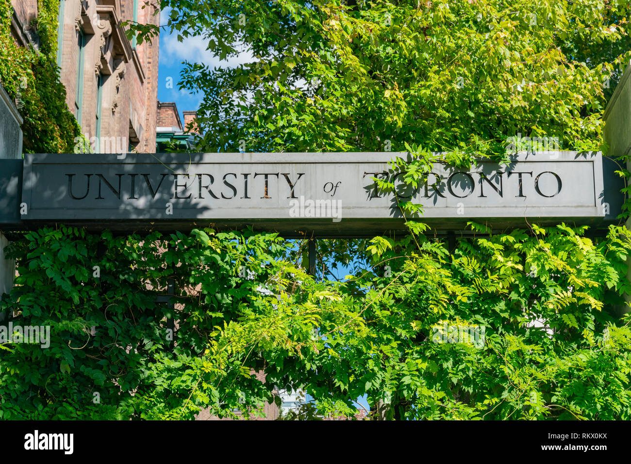 The sign of University of Toronto with green tree as background Stock ...