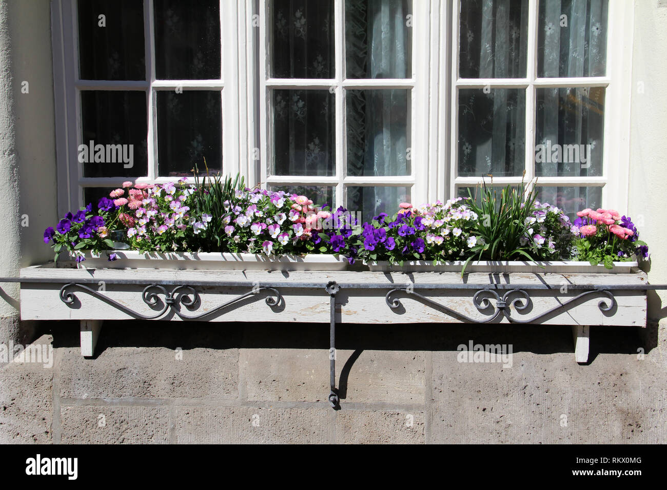 Balcony Plants / Beautiful flowers grow on a windowsill Stock Photo - Alamy