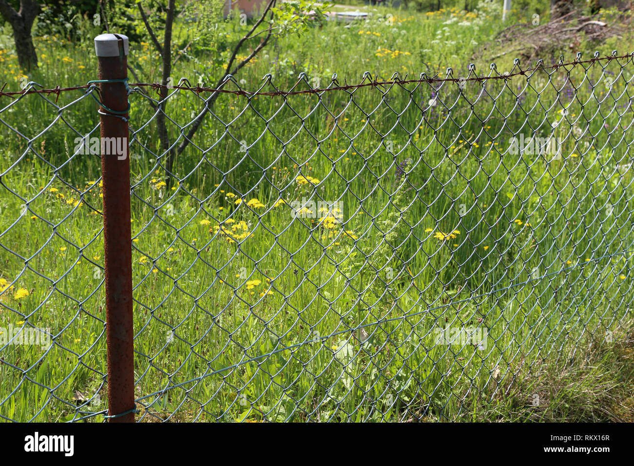 Metal wire fencing spring hi-res stock photography and images - Alamy