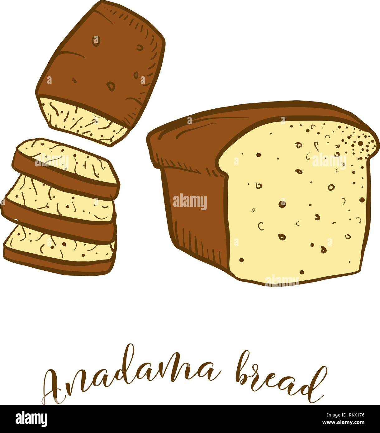 Colored sketches of Anadama bread bread. Vector drawing of Yeast bread ...