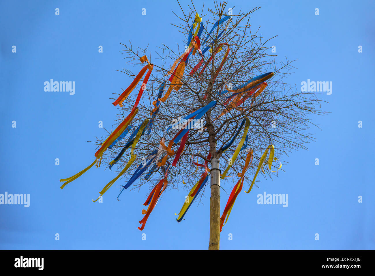 A traditional Maypole with colored ribbons on blue background Stock ...