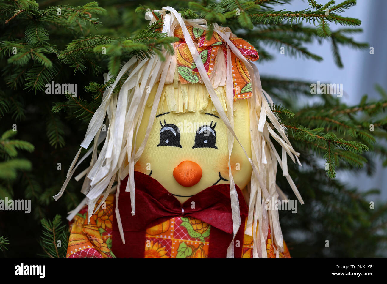 Scarecrow / Close portrait view of scarecrow Stock Photo - Alamy