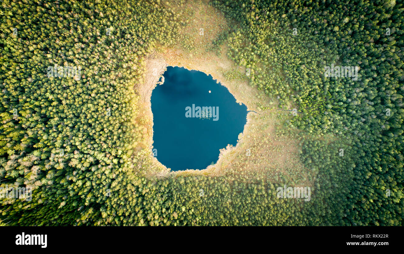 Isolated Forest Lake, Aerial Top Down Vertical View Stock Photo - Alamy