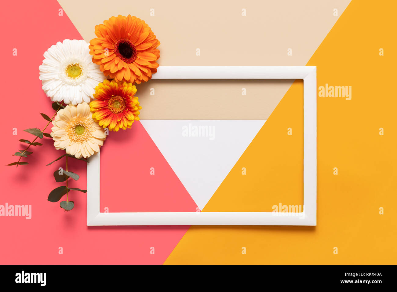 Greeting Card Background Hd