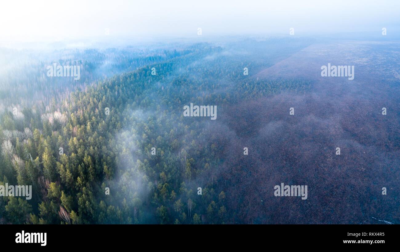 Swamp aerial hi-res stock photography and images - Alamy