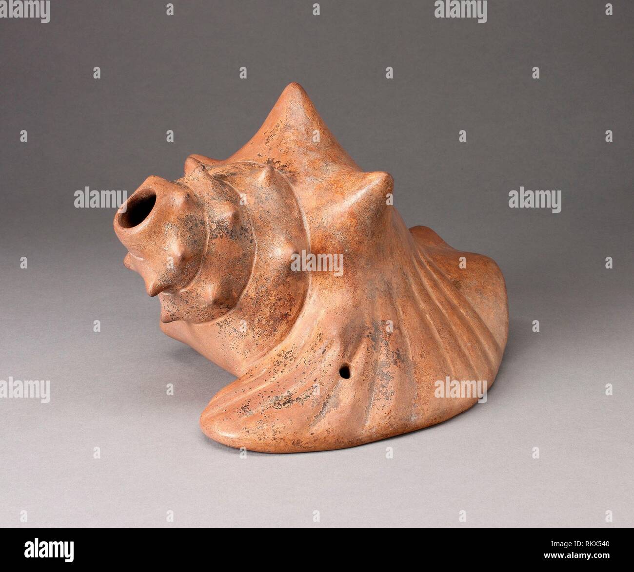 Conch Shell Trumpet High Resolution Stock Photography and Images - Alamy