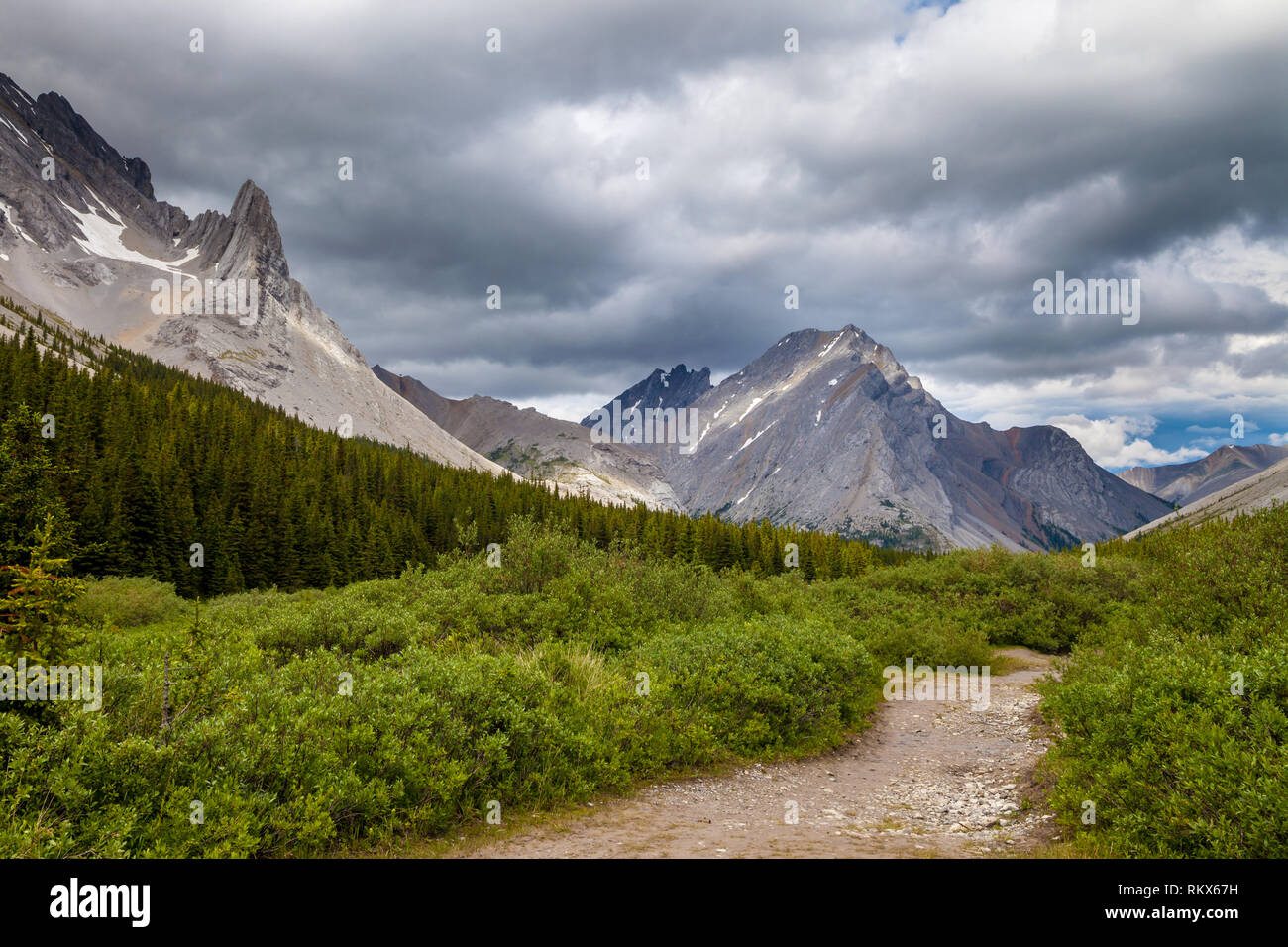 A hiking trail in the Highwood Pass of Kananaskis Country, Alberta ...