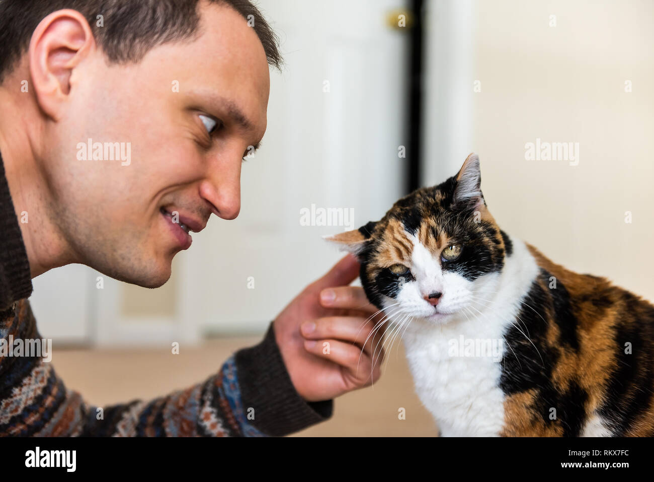 Cat Scratching Person High Resolution Stock Photography and Images - Alamy