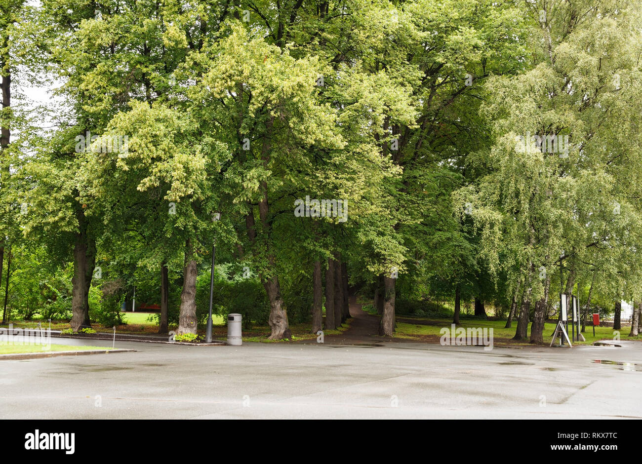Trees in the park in Oslo, Norway Stock Photo - Alamy