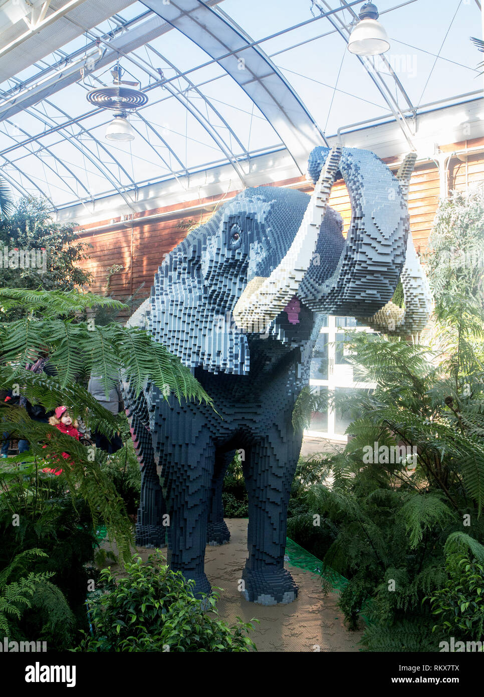 A life-sized lego model elephant at 'The Great Brick Safari' 2019 at ...
