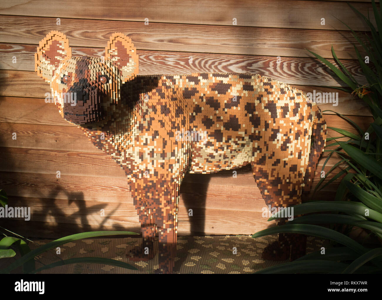 A life-sized ego model of a hyena at 'The Great Brick Safari' 2019 at ...