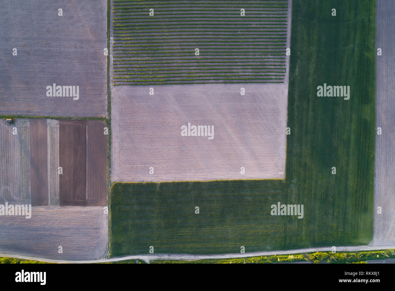 Aerial view of a field cut into different parts. Natural ornament Stock ...