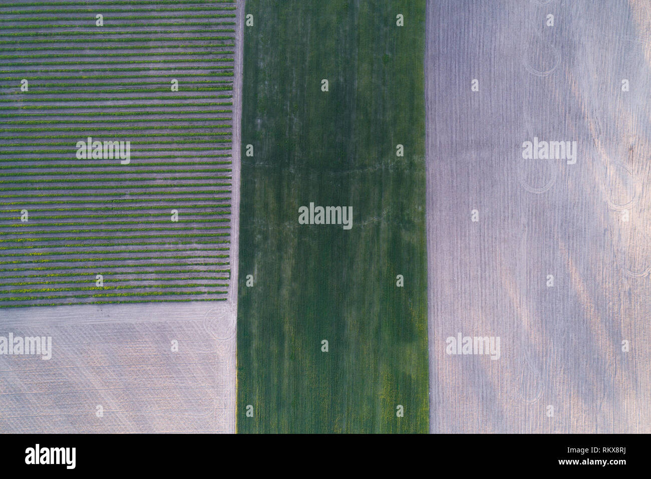 Aerial view of a field cut into different parts. Natural ornament Stock ...