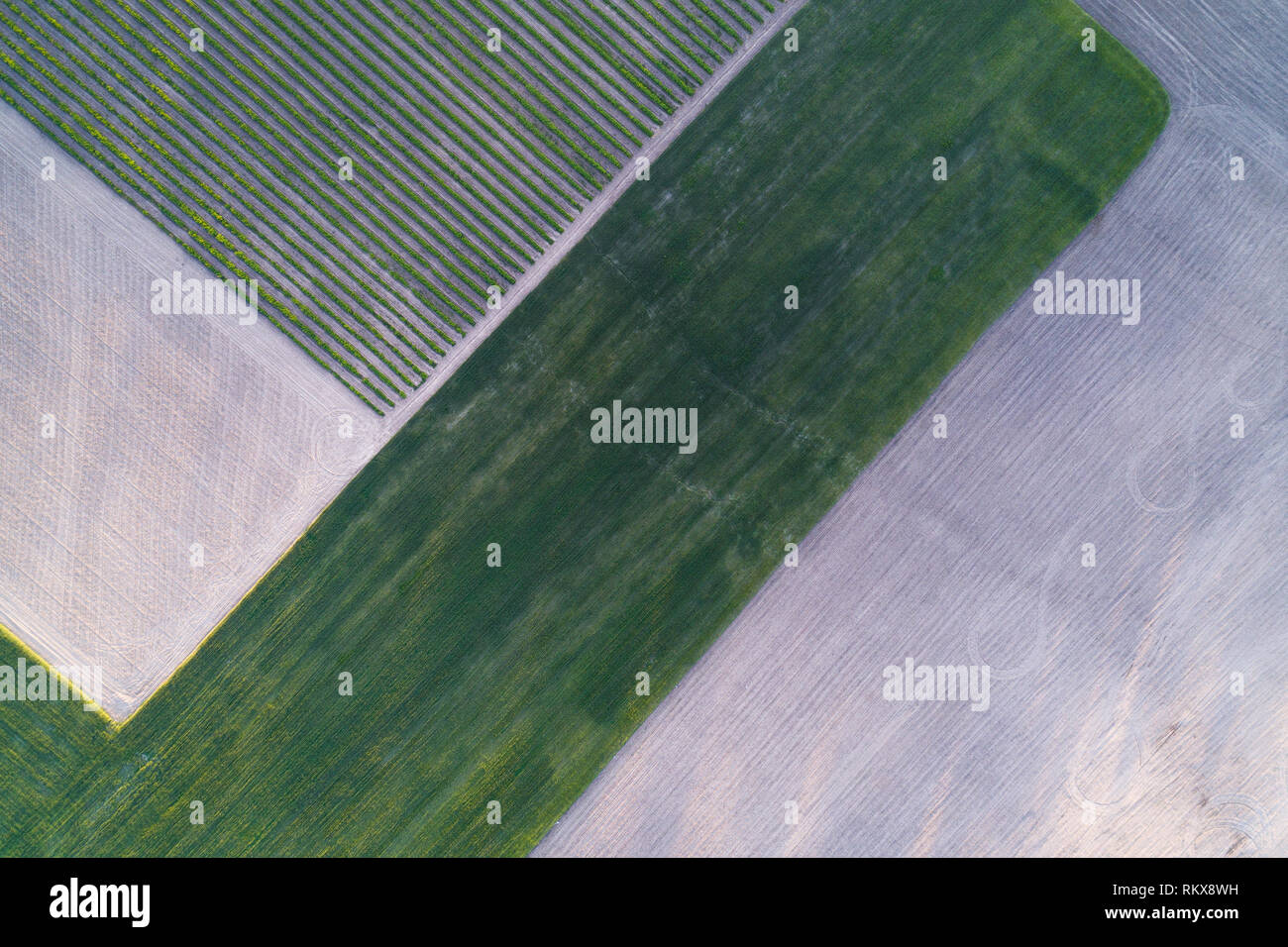 Aerial view of a field cut into different parts. Natural ornament Stock ...