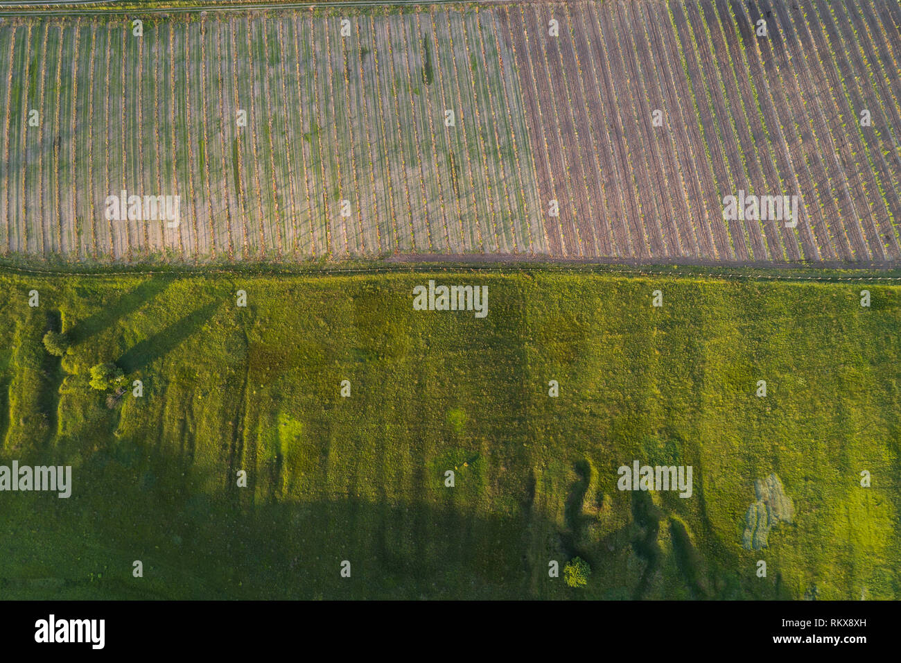 Aerial view of a field cut into different parts. Natural ornament Stock ...