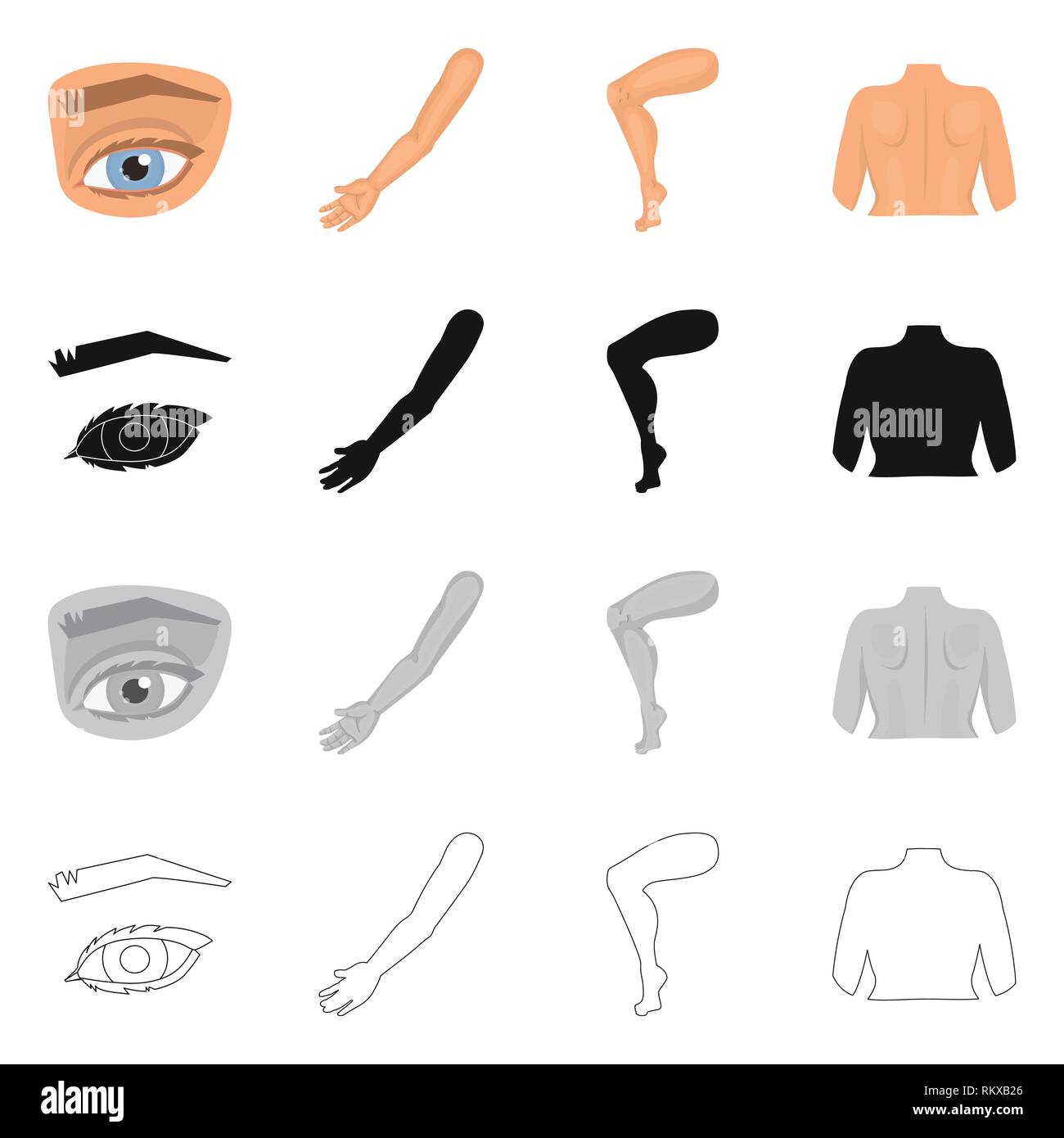 Isolated object of body and part icon. Collection of body and anatomy ...