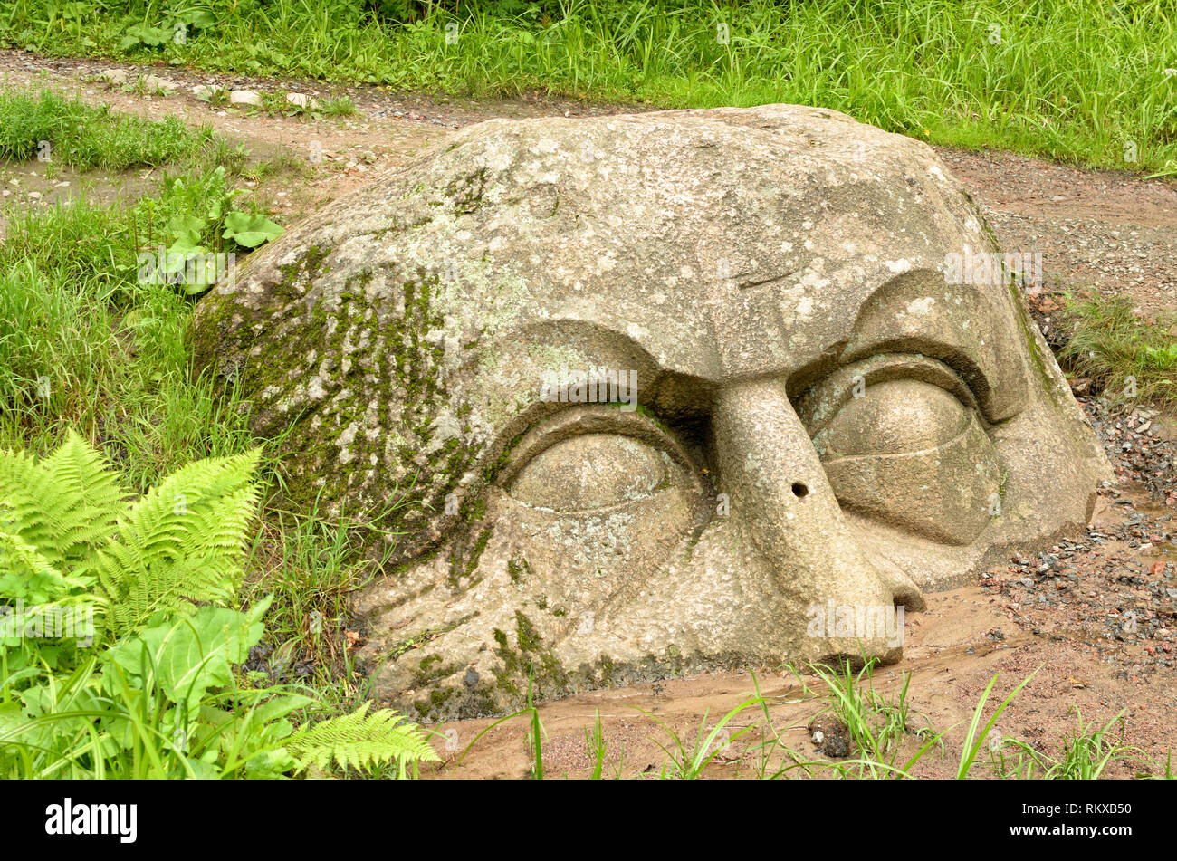 Rock Forehead High Resolution Stock Photography and Images - Alamy