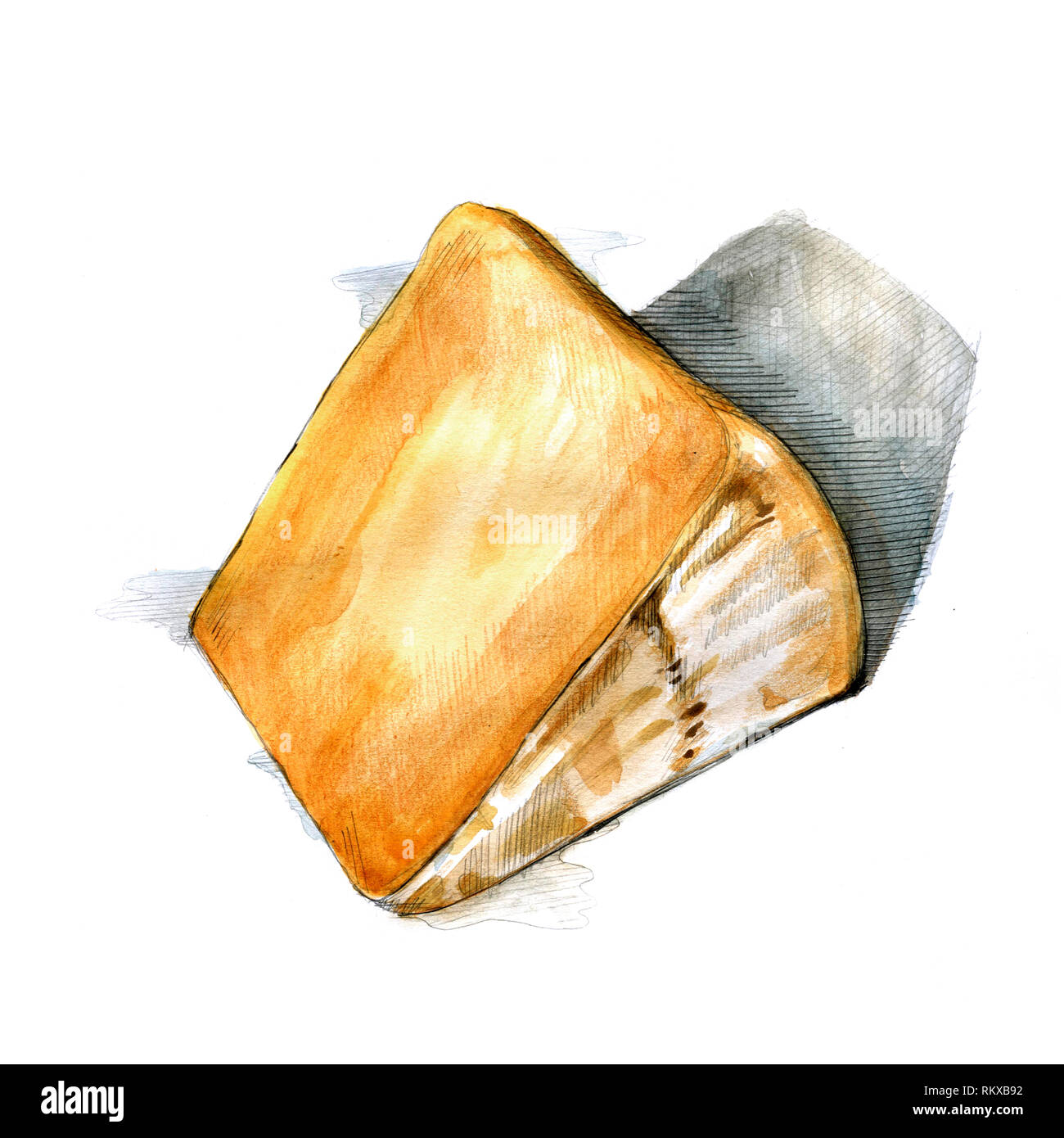 Pecorino Romano cheese watercolor illustration on white background ...