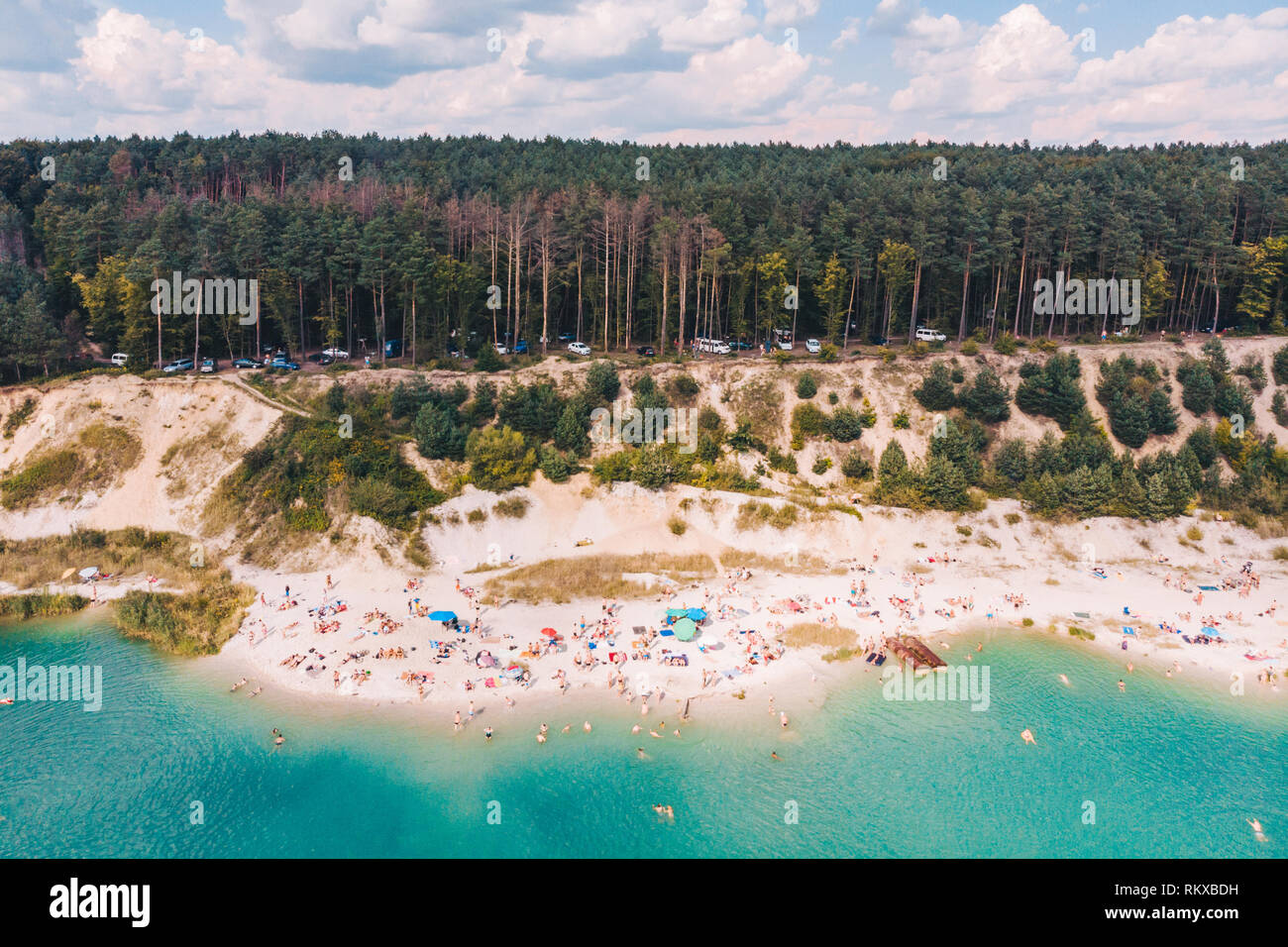Rivershore forest hi-res stock photography and images - Alamy
